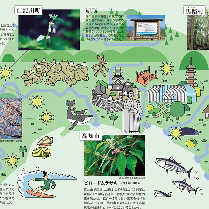 Studio Takeuma illustration work | studio takeuma