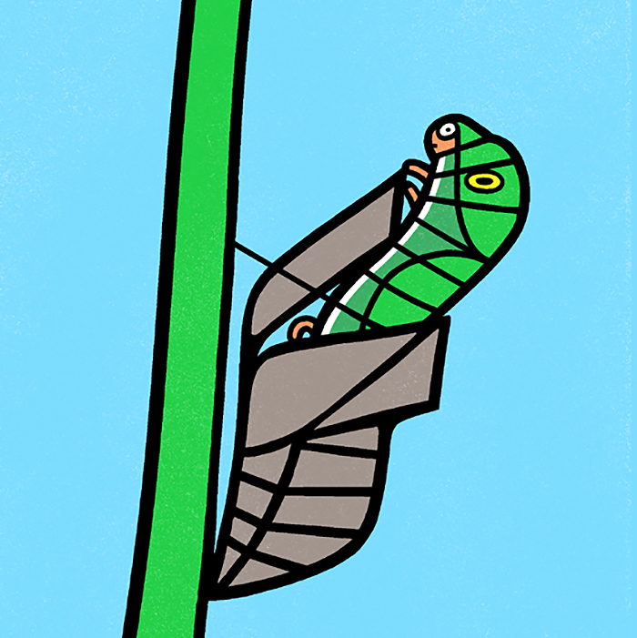 Studio Takeuma illustration work | studio takeuma